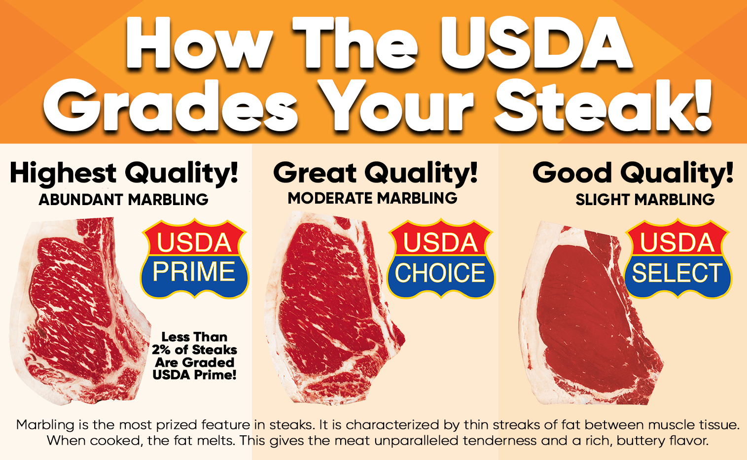 Usda Beef Cuts Chart Images And Photos Finder